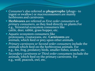 Components of ecosystem | PPTX