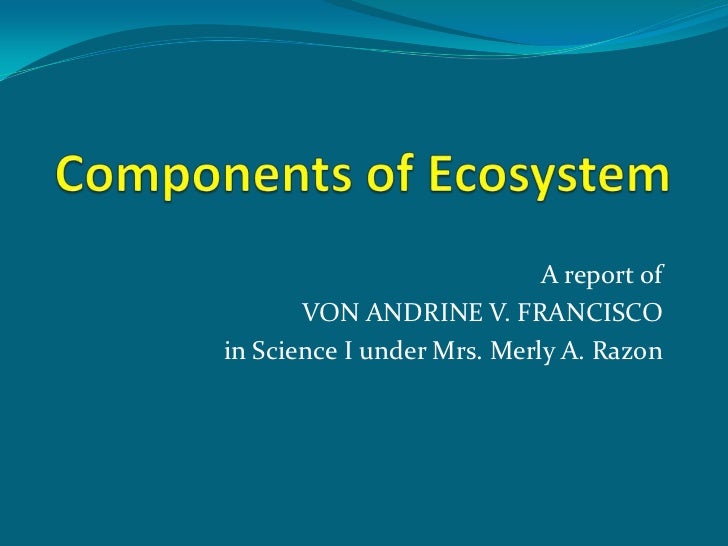 Ecosystem Definition Components Examples Structure