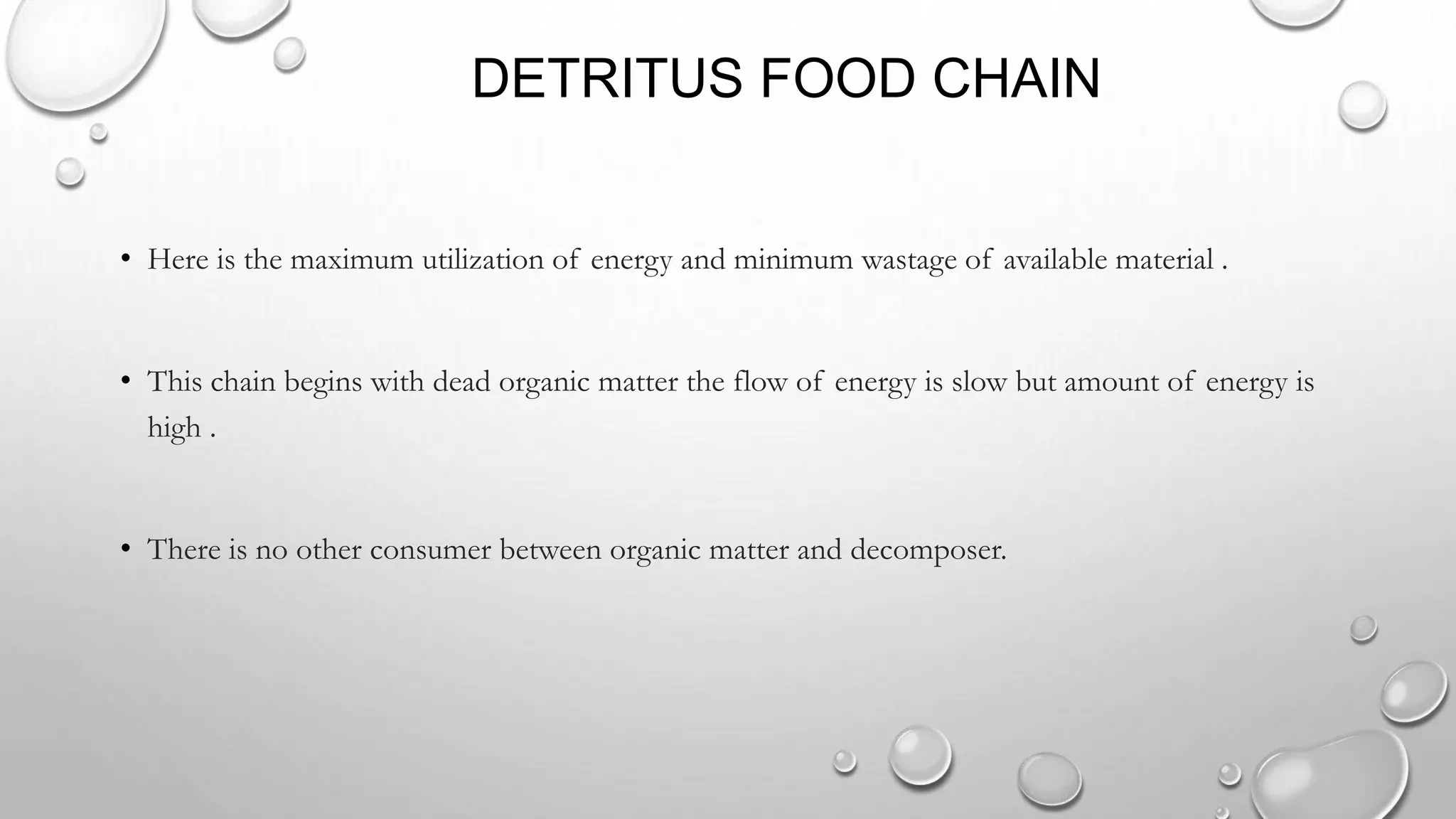 Components of Ecosystem.pptx