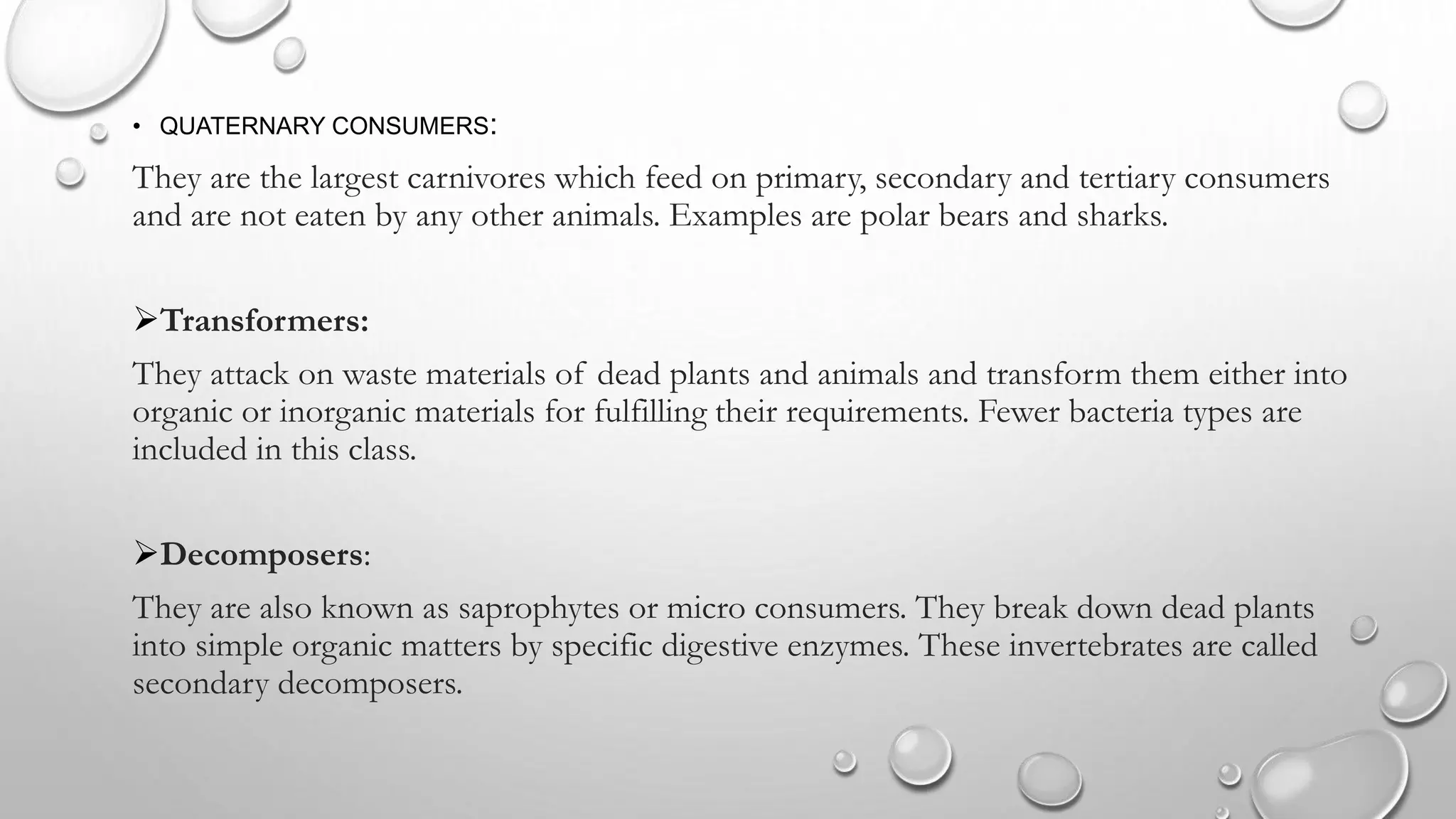 Components of Ecosystem.pptx