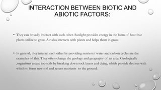 Components of Ecosystem.pptx