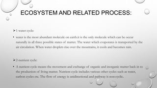 Components of Ecosystem.pptx