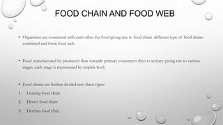 Components of Ecosystem.pptx