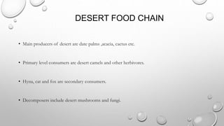 Components of Ecosystem.pptx