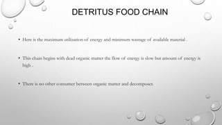 Components of Ecosystem.pptx