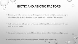 Components of Ecosystem.pptx