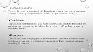 Components of Ecosystem.pptx