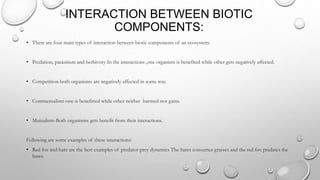 Components of Ecosystem.pptx