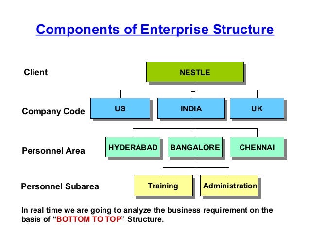 Components of enterprise_structure