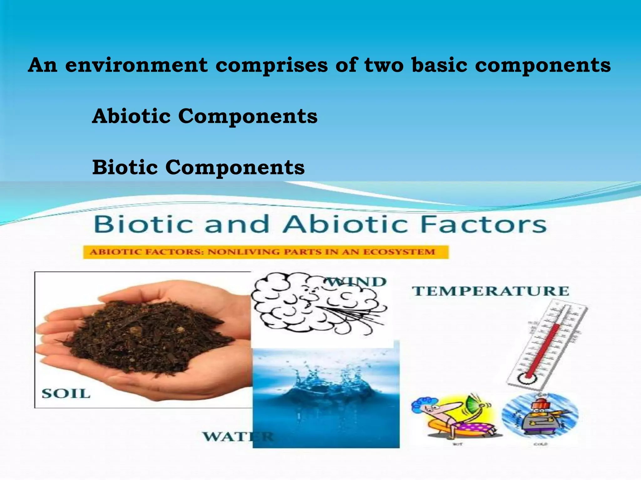 Components of environment | PPTX