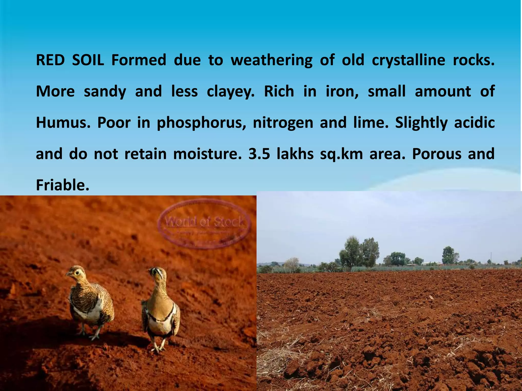 Components of environment | PPTX