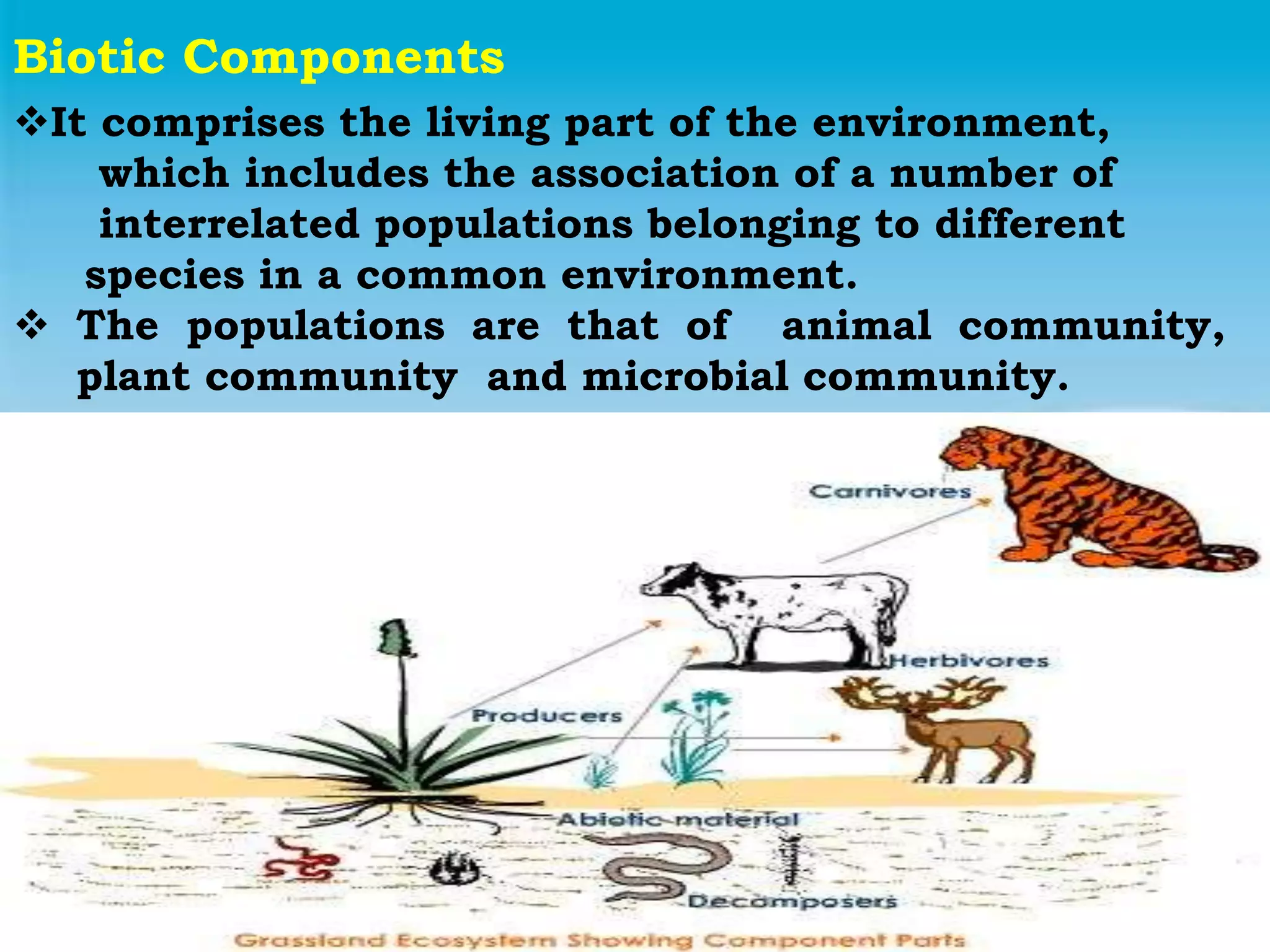 Components of environment | PPTX