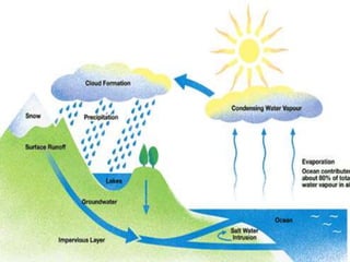 Components of environment | PPTX