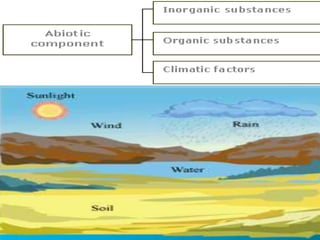 Components of environment | PPTX