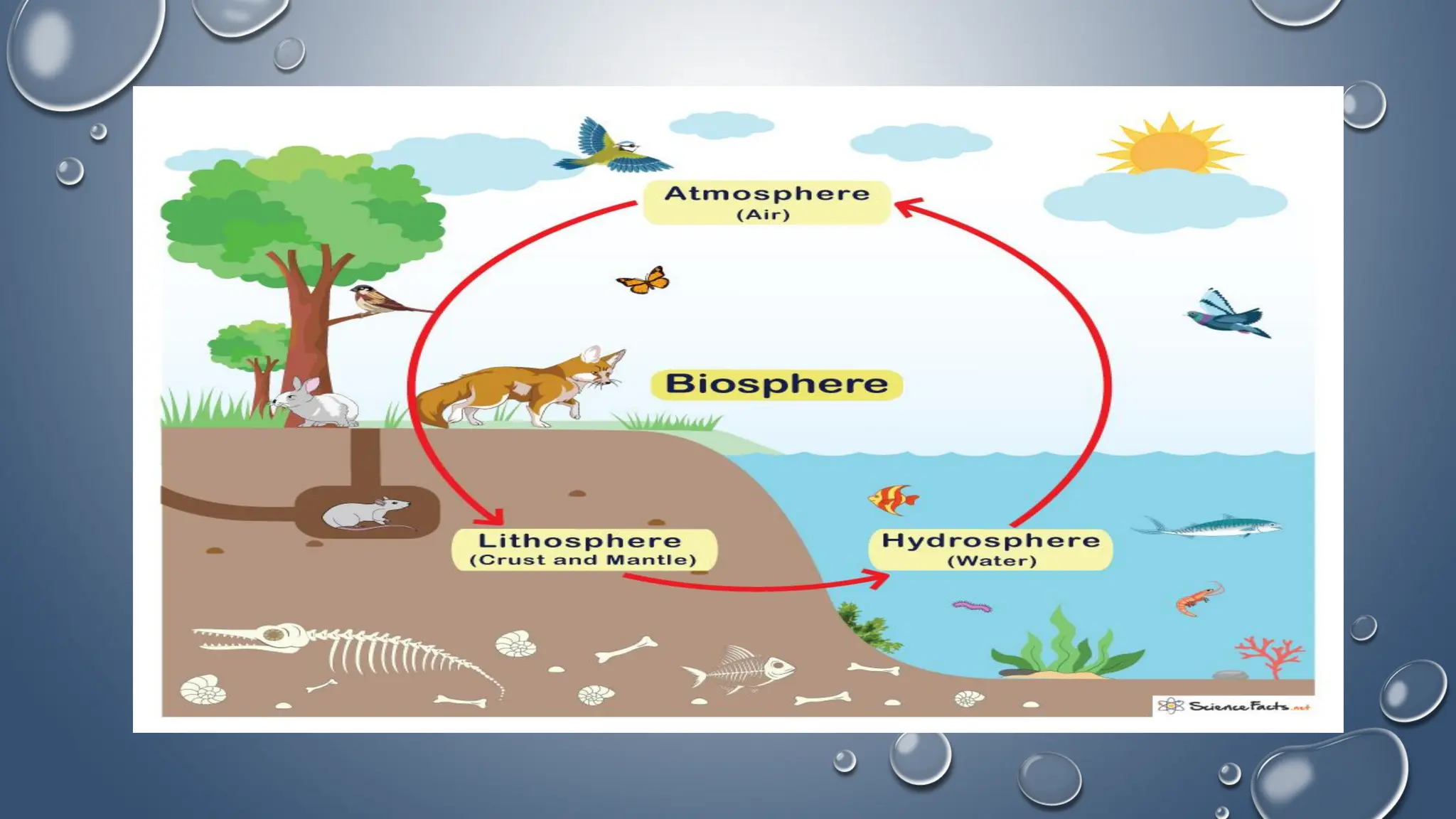 Components of Environment- lithosphere, hydrosphere, atmosphere ...