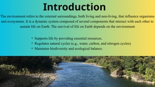 Components of environment –_20250325_142310_0000.pptx