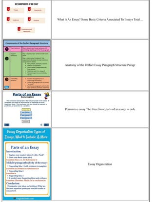 Components Of Essay Writing. Online assignment writing service. | PDF
