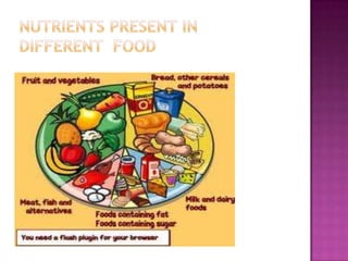 Components of food | PPTX
