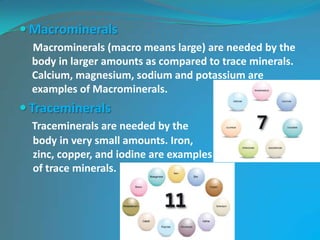 Components of Food | PPTX | Chemistry | Science