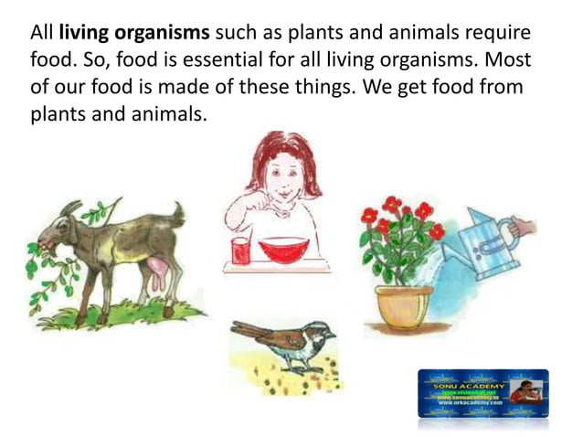 COMPONENTS OF FOOD - CLASS VI | PPTX