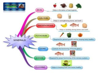 COMPONENTS OF FOOD - CLASS VI | PPTX