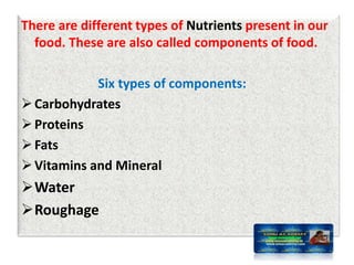 COMPONENTS OF FOOD - CLASS VI | PPTX