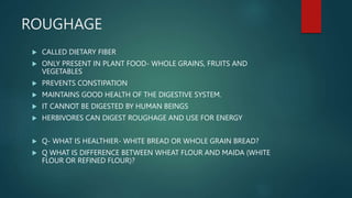 COMPONENTS OF FOOD.pptx