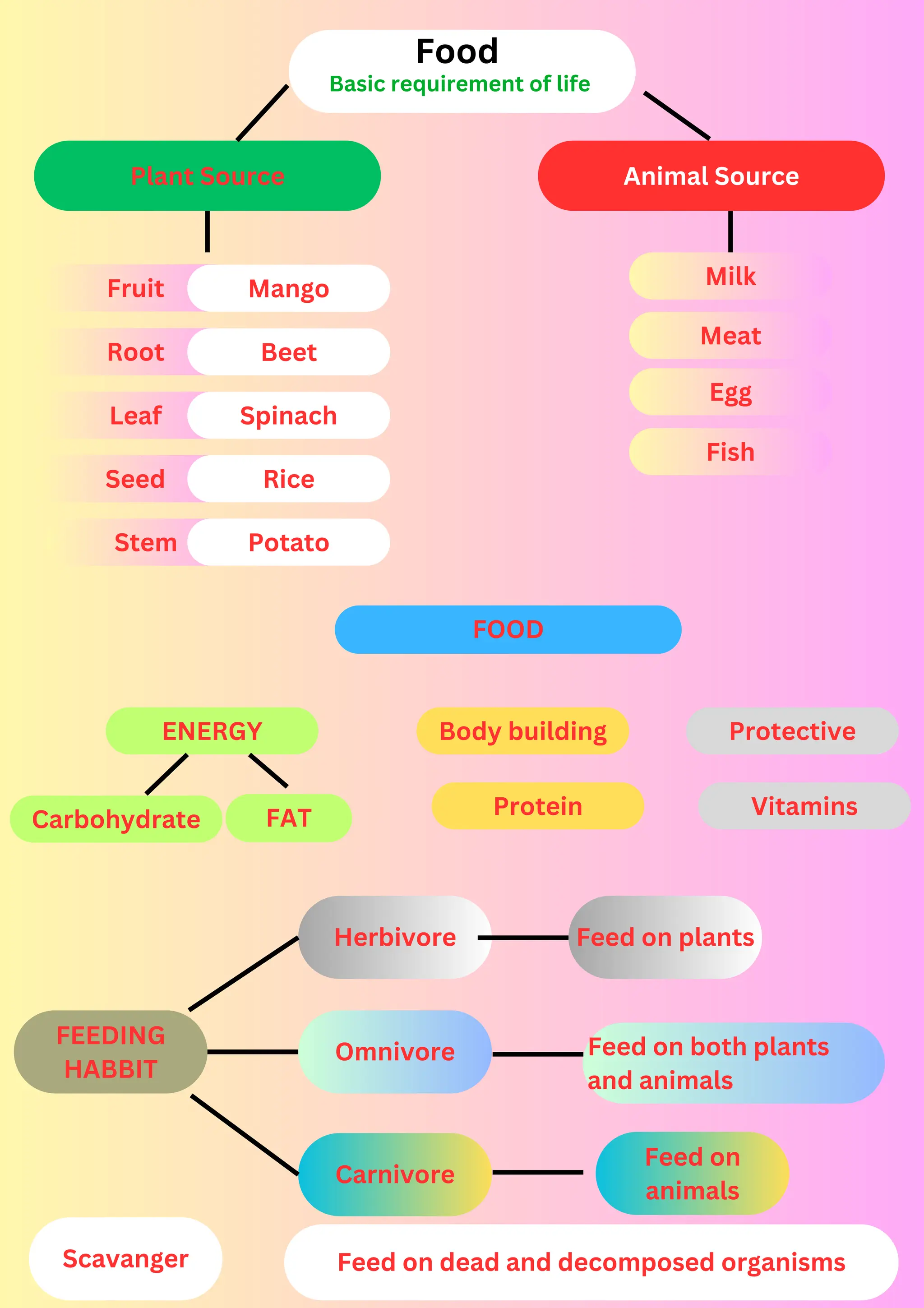 Components of Food.pdf. infographics and assesment sheet | PDF