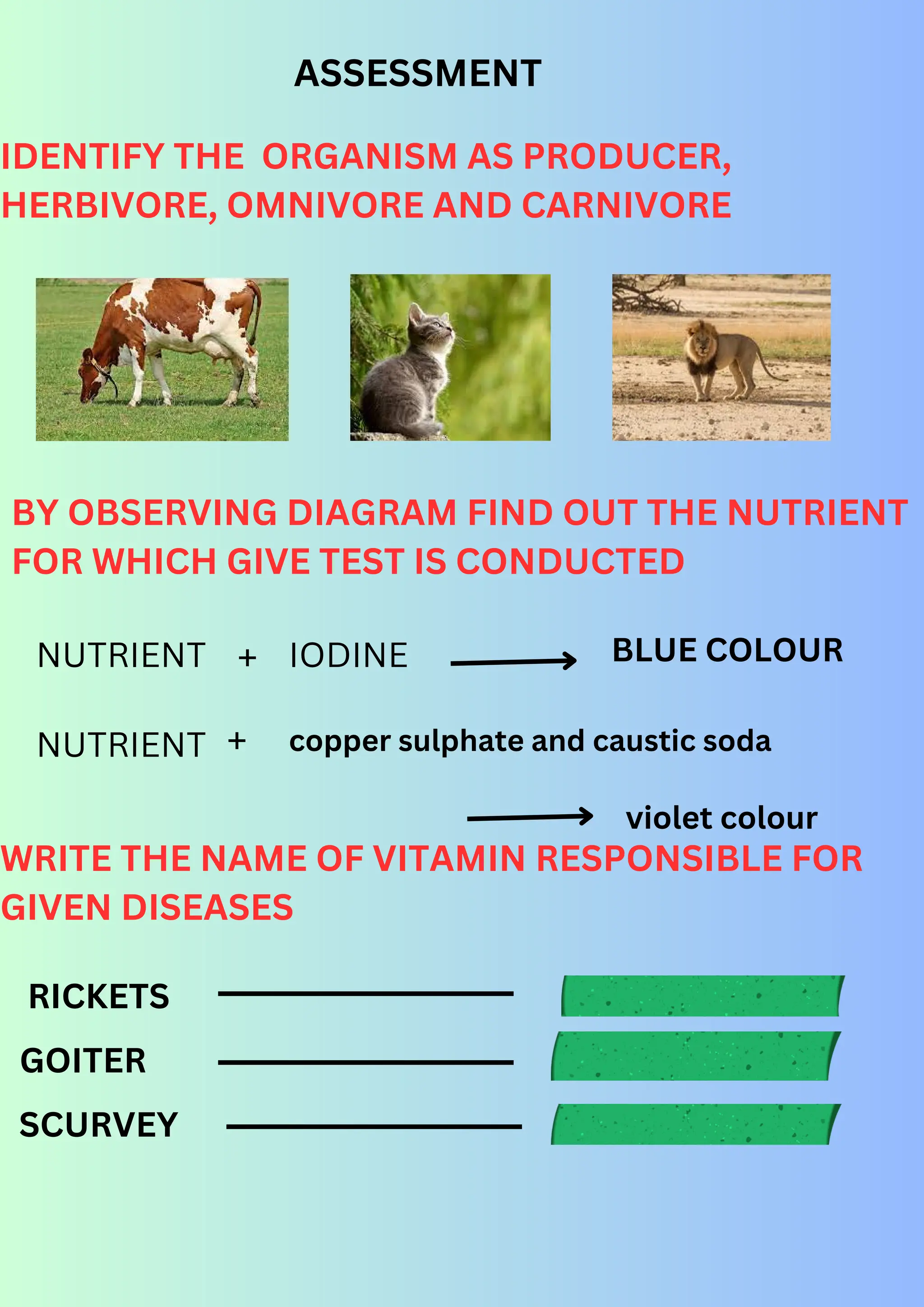 Components of Food.pdf. infographics and assesment sheet | PDF