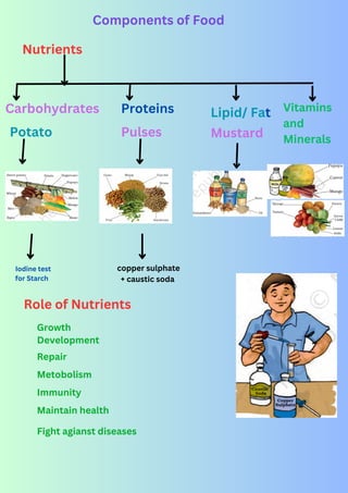 Components of Food.pdf. infographics and assesment sheet | PDF