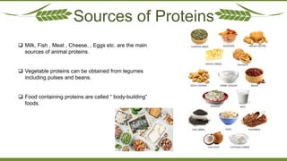 Components of food | PPTX