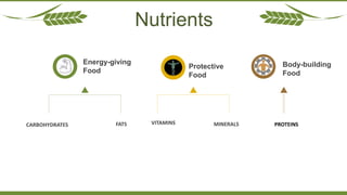 Components of food | PPTX