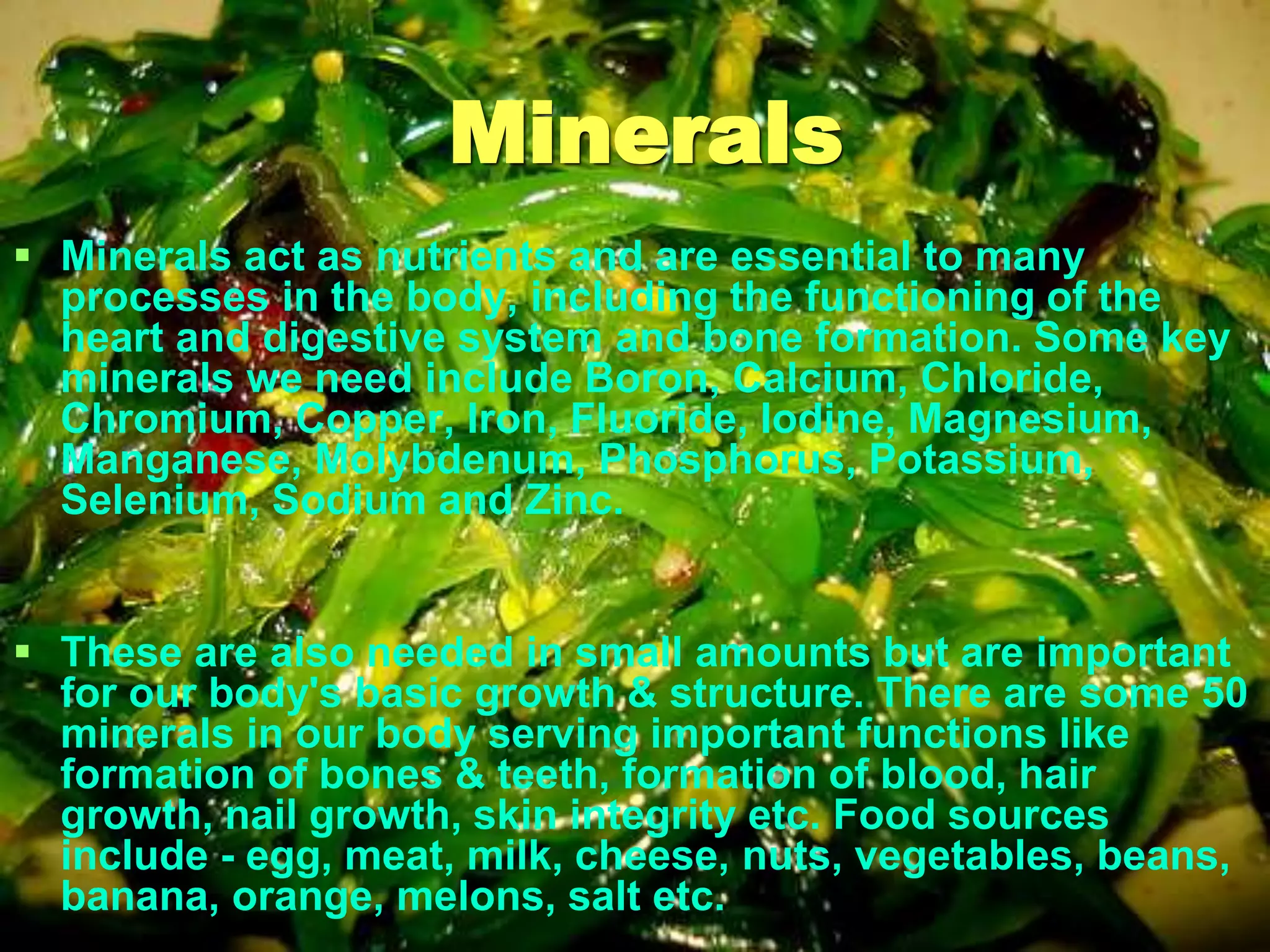 Components of food class iv | PPSX