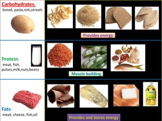 Components of food( comp) | PPTX
