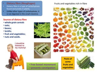 Components of food( comp) | PPTX