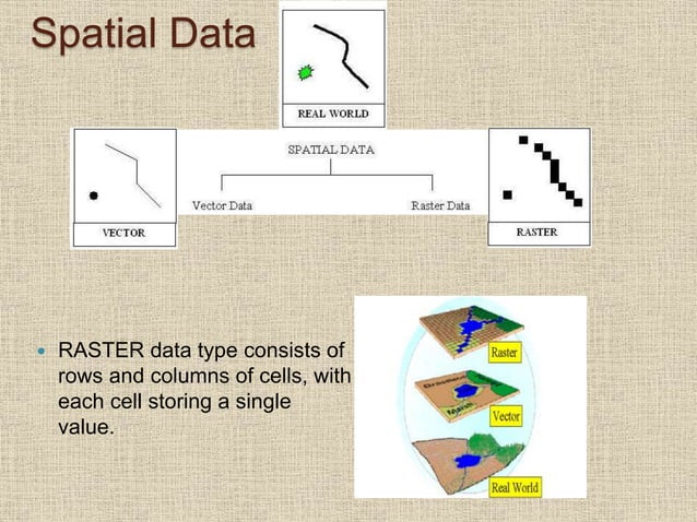 Components of gis | PPTX | Databases | Computer Software and Applications