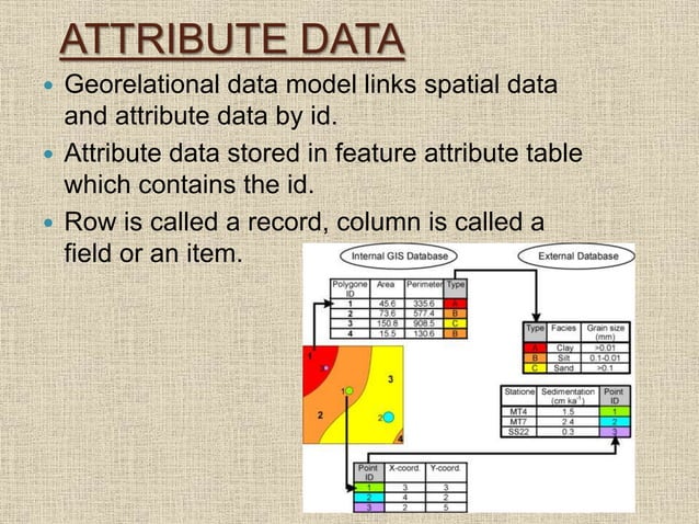 Components of gis | PPTX | Databases | Computer Software and Applications