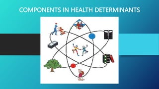 Components of Health Determinants.pptx