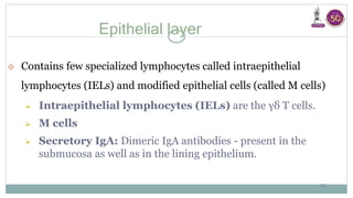 Components of Immune System Dr Sharan.pptx