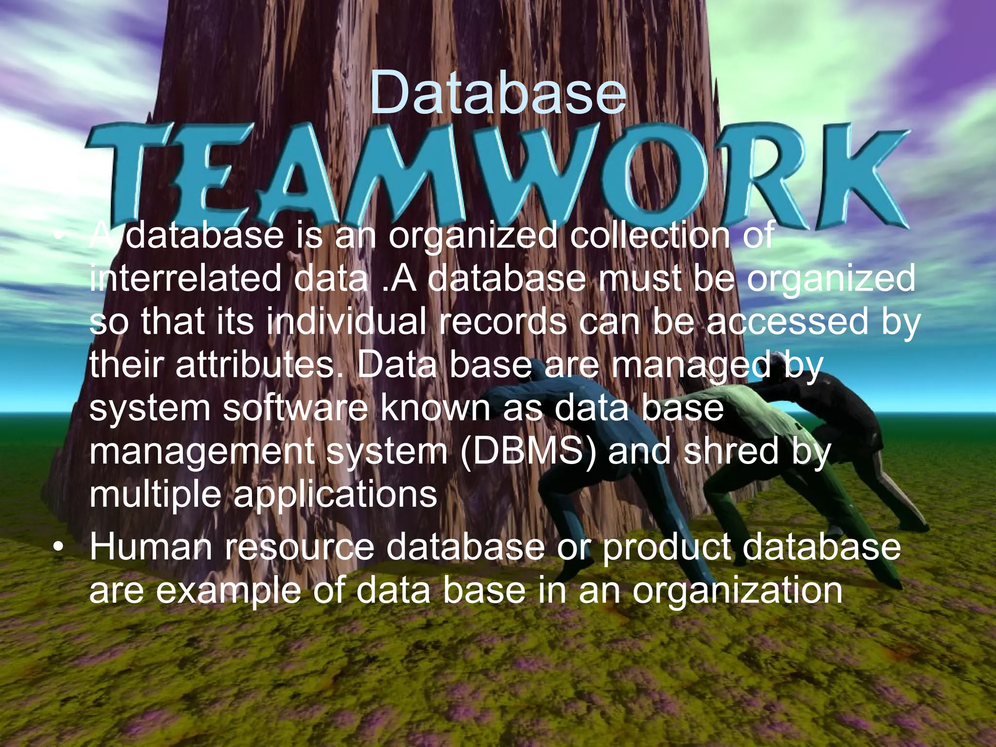 Components of information system | PPT