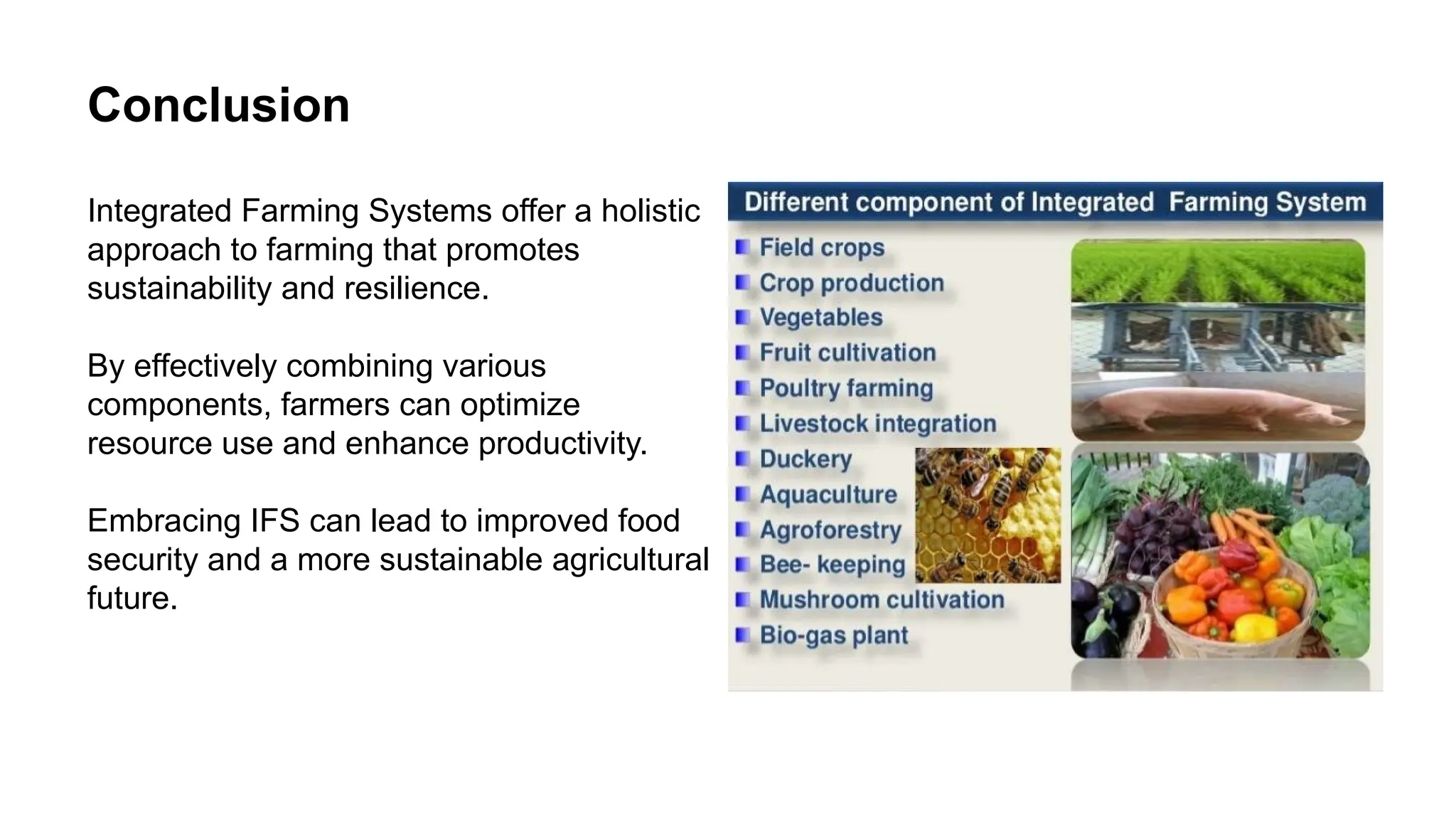 Components Of Integrated Farming System.pptx