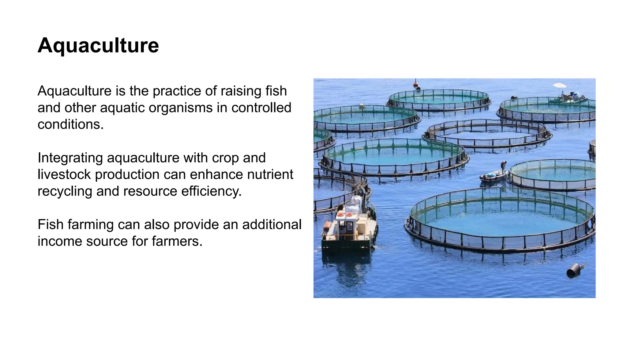 Components Of Integrated Farming System.pptx