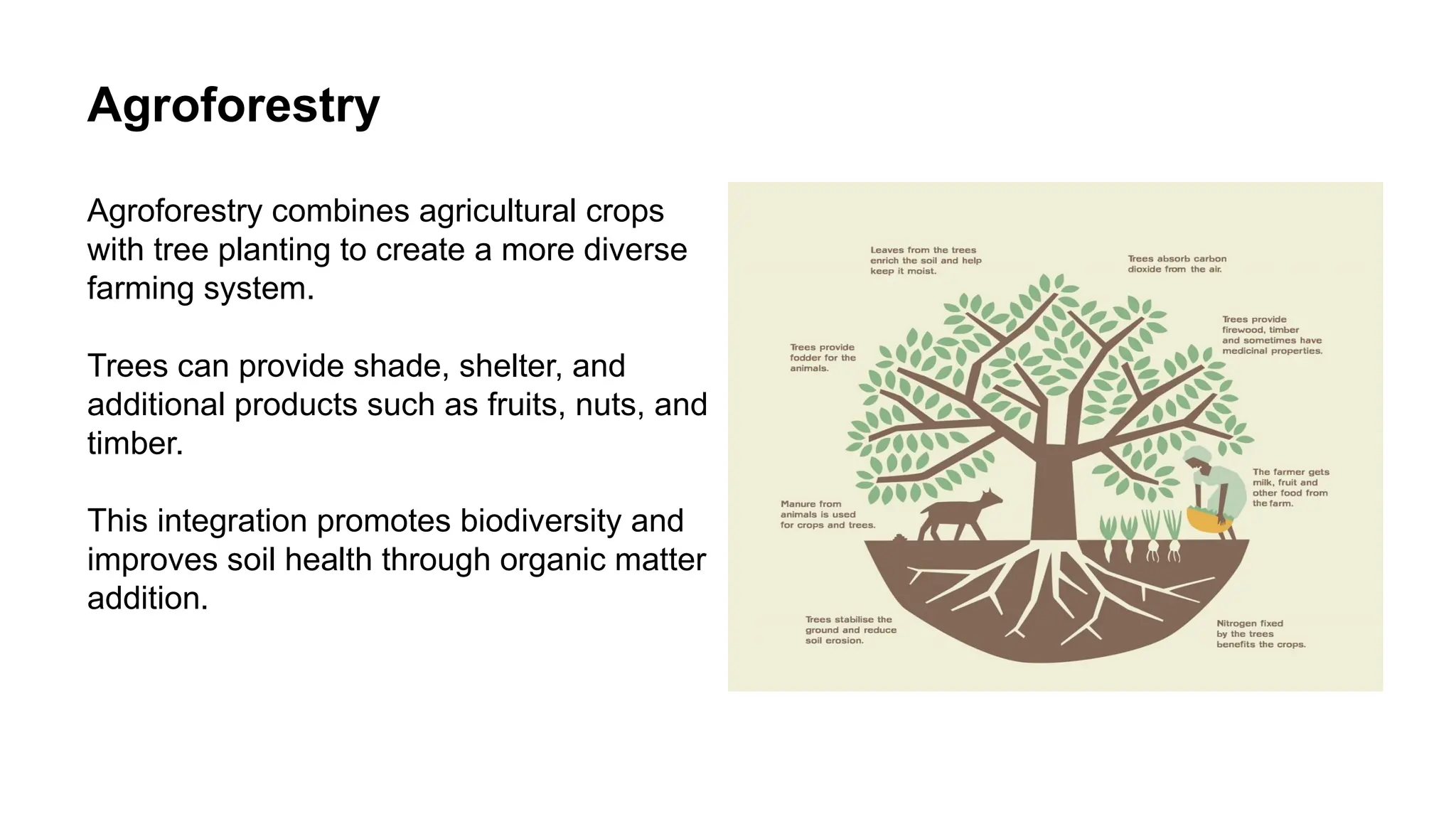 Components Of Integrated Farming System.pptx