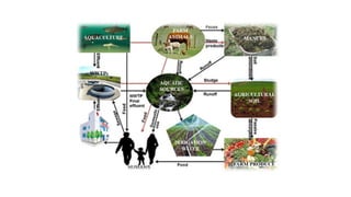 Components Of Integrated Farming System.pptx