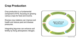 Components Of Integrated Farming System.pptx