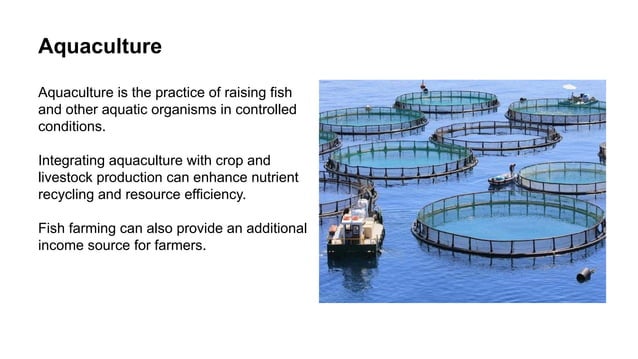 Components Of Integrated Farming System.pptx
