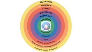 Components of Language | PPTX