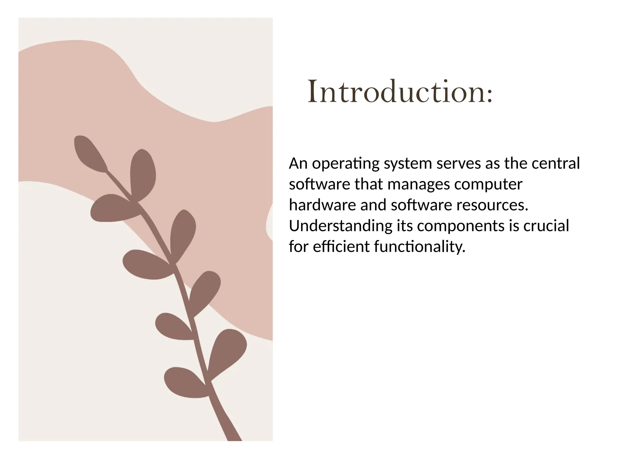 Components of Operating System FILE MANAGER.pptx