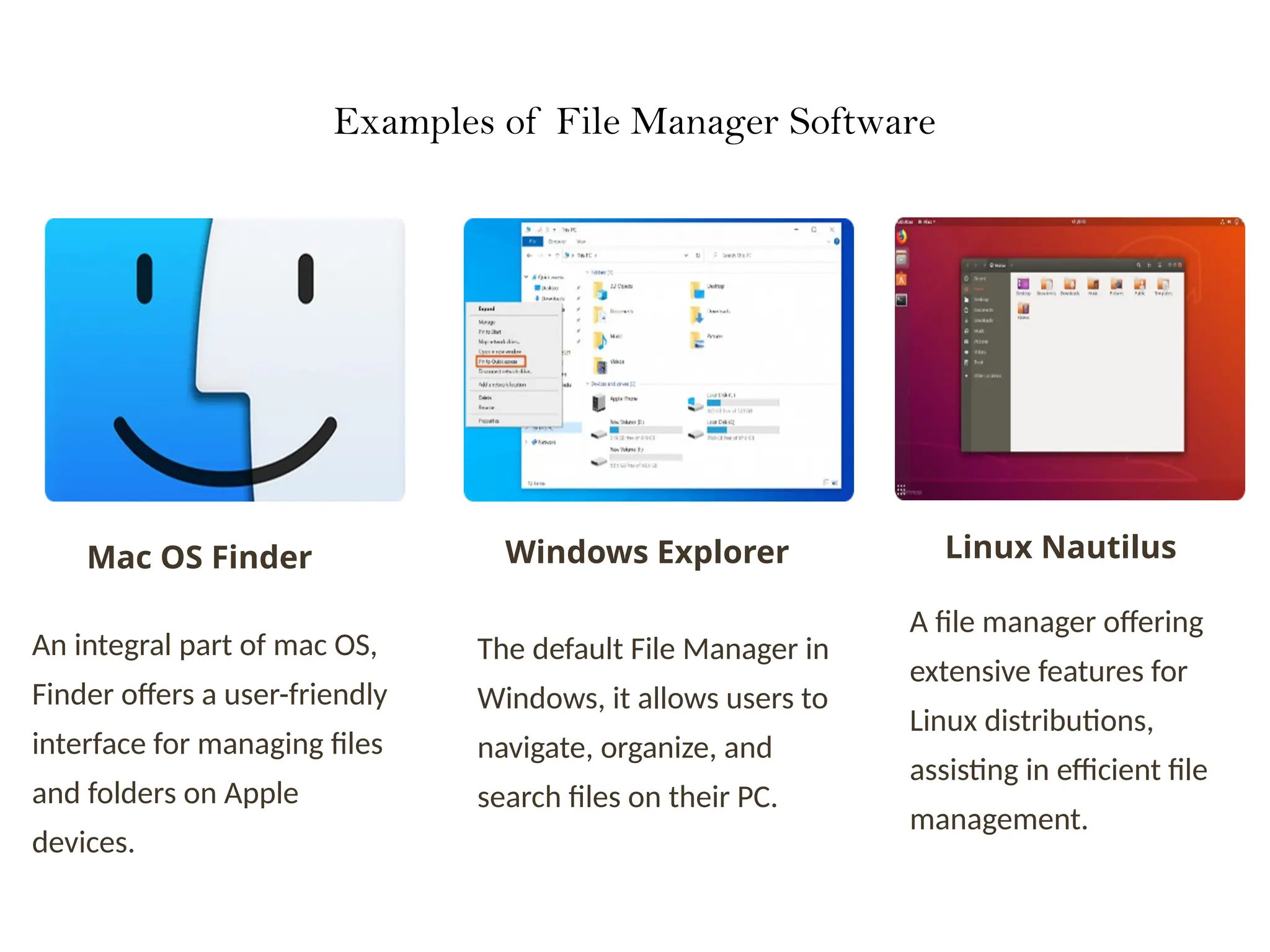 Components of Operating System FILE MANAGER.pptx