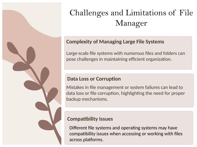 Components of Operating System FILE MANAGER.pptx